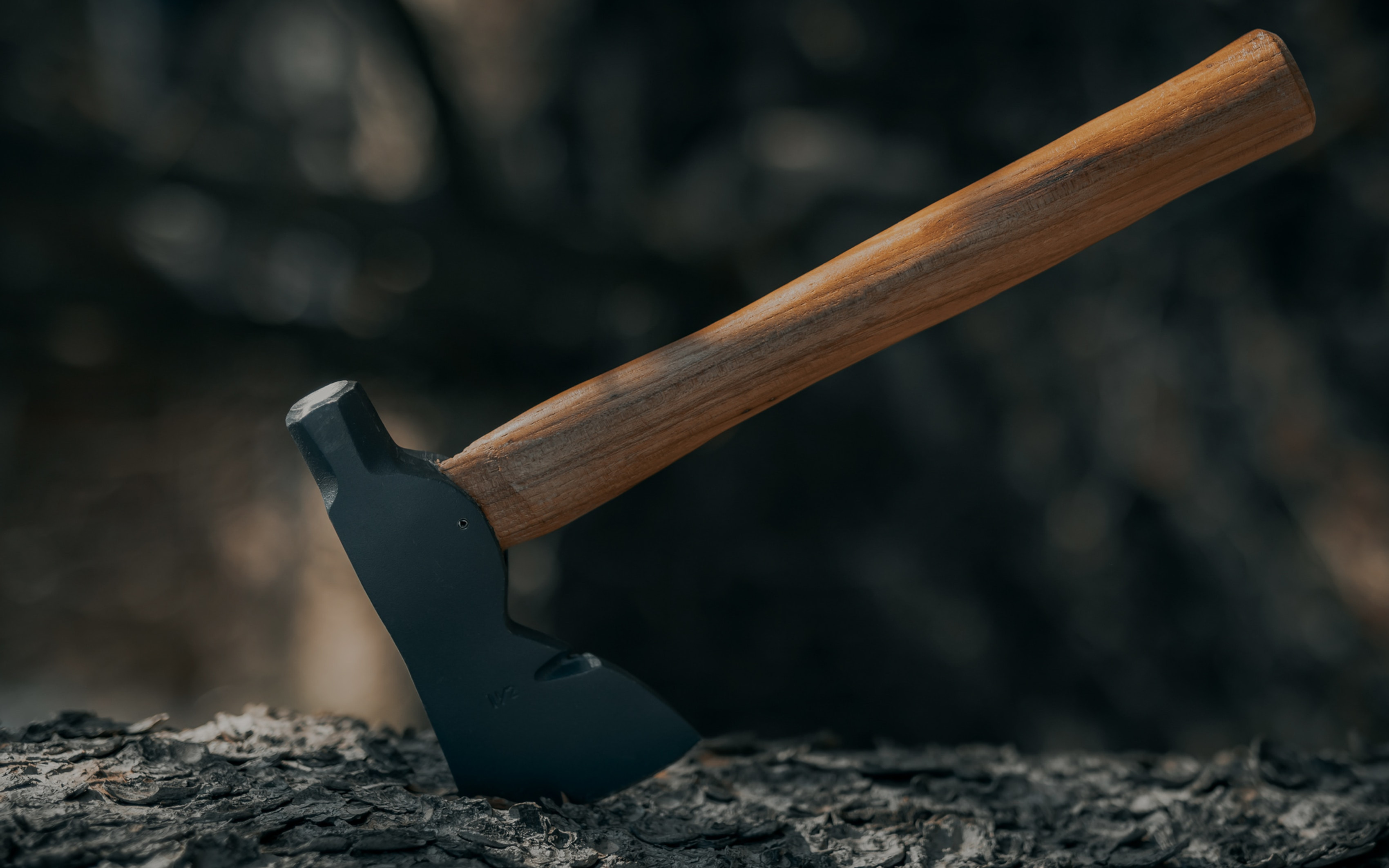 Hatchet - Full Text Analysis, By Gary Paulsen